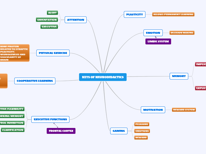 Keys of Neurodidactics - Mind Map